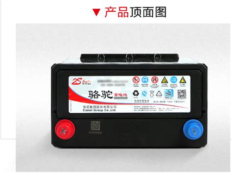 骆驼camel发电机电瓶蓄电池6 Qw 1002s 12v 一块装 融创集采商城