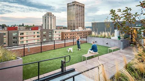 ТОП 10 решений для создания дог френдли среды в жилых проектах Консалтинговое агентство Gmk