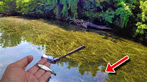 Easiest Way To Catch Slab Crappie Youtube