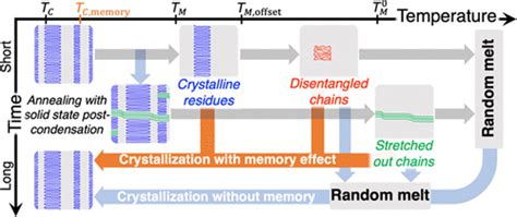 Memory Effects In The Quiescent Crystallization Of Polyamide 12 Self Seeding Post Condensation