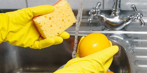 How To Prevent Foodborne Illness Nastah The Hand Protector Prevent