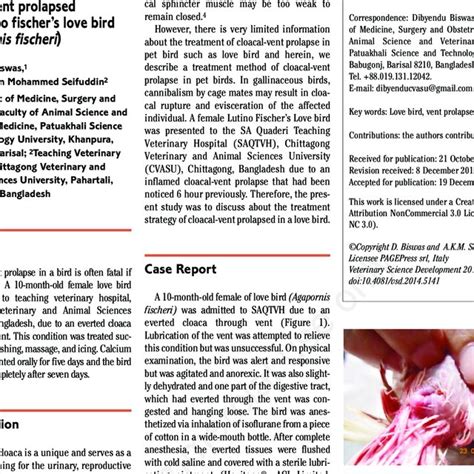 Prolapsed Cloaca Vent And Congested Mucus Layer Download Scientific