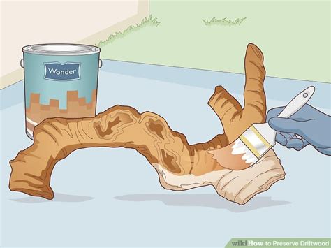 3 Easy Ways To Preserve Driftwood Wikihow