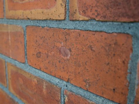 Python C Brick Cavity And Veneer Ties — Python Fixings Nz