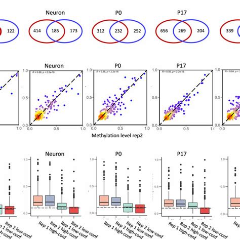 Reproducibility Of Replicates Among Rna Bs Seq Samples A Overlap Of Download Scientific