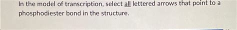 Solved In The Model Of Transcription Select All Lettered