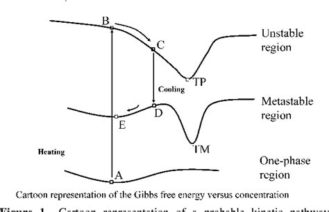 Figure From Hidden Minima Of The Gibbs Free Energy Revealed In A Phase Separation In Polymer