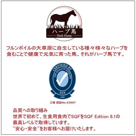 【1kg】馬刺し フタエゴ タレ付き （1p60〜150g） 中国内モンゴル産（遼寧省蓋州市）馬刺 00 00082101 肉問屋