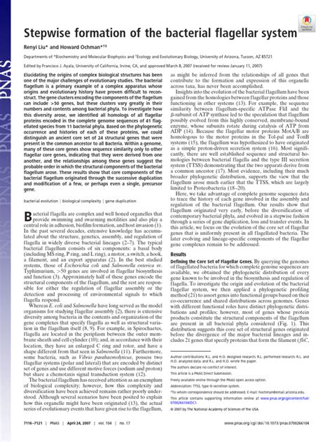 Liu Ochman 2007 Stepwise Formation Of The Bacterial Flagellar System Pdf