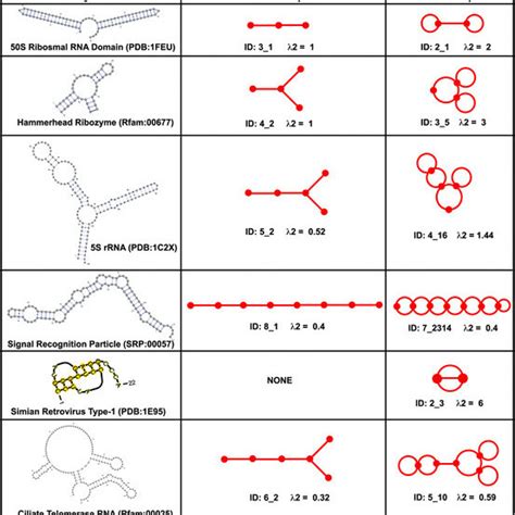 4 existing rnas shown as tree and dual graphs the simian retrovirus