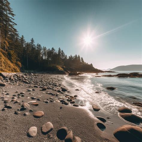 Premium Ai Image There Is A Beach With Rocks And Trees On The Shore