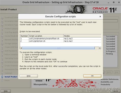 Oracle11g Rac部署（超详细包会）oracle Rac部署 Csdn博客