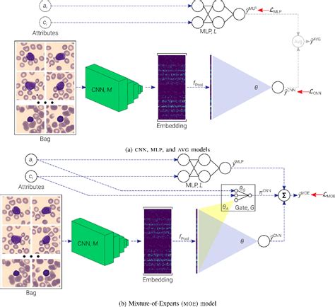 Figure 1 From Deep Multi Instance Learning Using Multi Modal Data For