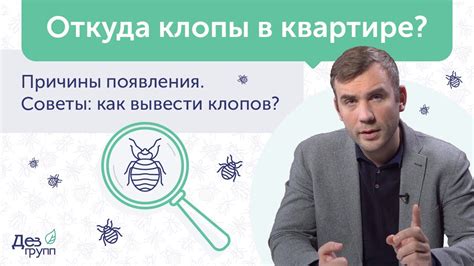 Откуда клопы в квартире: как избавиться от клопов Обработка от клопов💯 ...