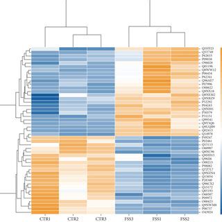 CTR1, CTR2, and CTR3 were the expression of differential proteins in ...