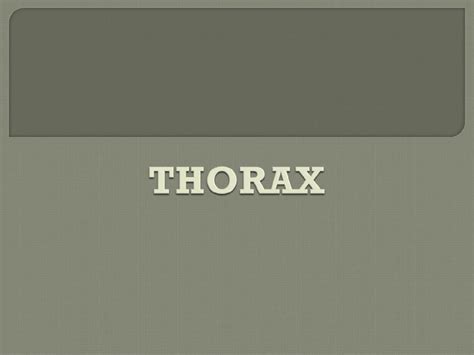Ppt Thorax Os Powerpoint Dokumentips