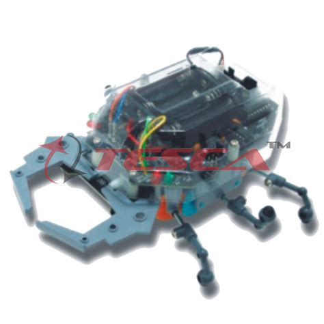 Robot Scarab Robot Kit