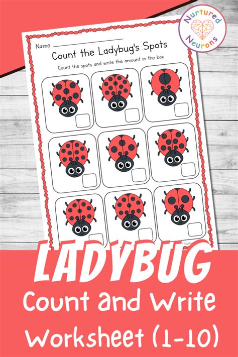 Ladybug Spot Counting Worksheet 1 10 Printable Pdf For Kindergarten