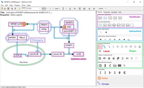 7 Pathway Elements PathVisio Book