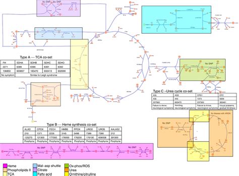 Systems Biology Of SNPs Molecular Systems Biology