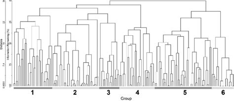 Dendrogram of analyzed relevés obtained with square root transformation Download Scientific