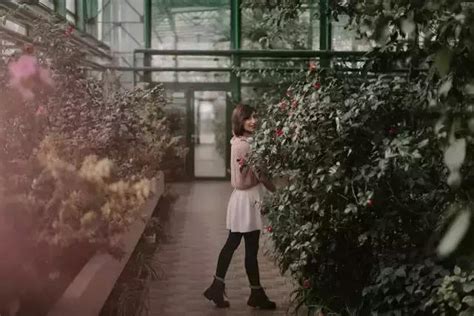 每個人的夢裏都有這樣一間花房 每日頭條