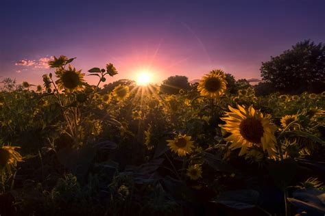 Hdr  Gain Map Gallery Greg Benz Photography