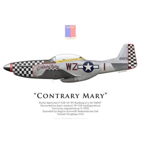 TF 51D Mustang Contrary Mary G TFSI 2022 Bravo Bravo Aviation