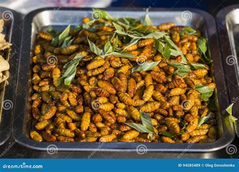 Fried Silkworm In Market Thailand Close Up Stock Image Image Of
