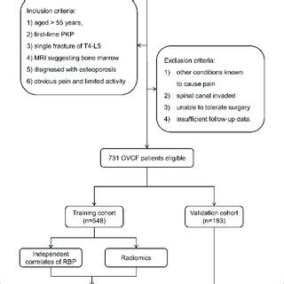 Radiomics Feature Selection Using Lasso Regression Model A Displays