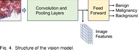 Automated Report Generation For Lung Cytological Images Using A CNN Vision Classifier And
