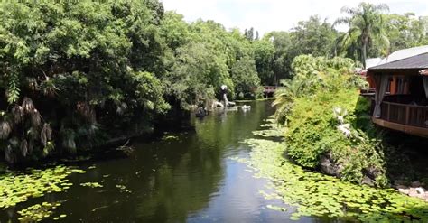 Tim Tracker And Walt Disney Worlds Reopening