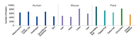 DDA Quantitative Proteomics MetwareBio