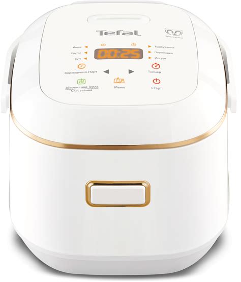 ᐉ Мультиварка Tefal Mini Multicooker RK601134 купить по цене по запросу ...
