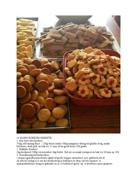 14 Klein Koekies Resepte Pdf