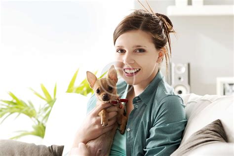 Attention Bias Modification For Depression Dr Chris Papakyriakopoulos