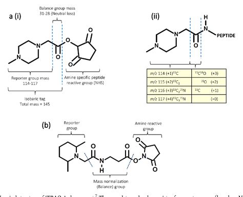 Figure 3 From Isobaric Labeling Based Relative Quantification In Shotgun Proteomics Semantic