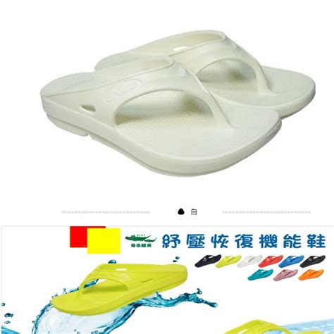 白色 伊布 加贈襪🐊母子鱷魚 第四代 🐊紓壓恢復機能鞋足弓氣墊夾腳拖鞋 馬拉松y拖路跑海灘雨天專用 蝦皮購物