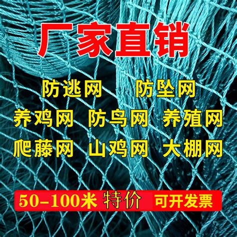 塑料养鸡网家禽养殖网天网拦鸡鸭网山鸡网防护网菜园围栏网尼龙网虎窝淘