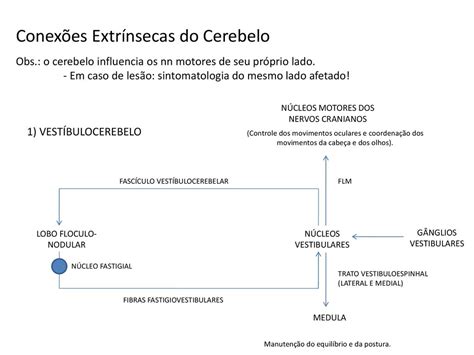 Aula Revisão Prova III ppt carregar