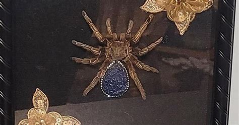 Tarantula Art Album On Imgur