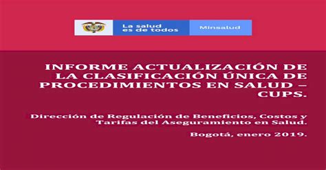 Informe ActualizaciÓn De La ClasificaciÓn Única De · Durante La