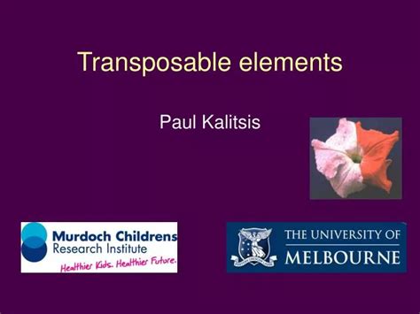 Ppt Transposable Elements Powerpoint Presentation Free Download Id 2959685