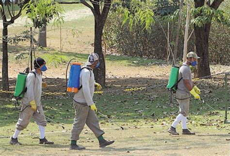 MG Teve Quatro Mortes Por Febre Maculosa Neste Ano Lavras24horas