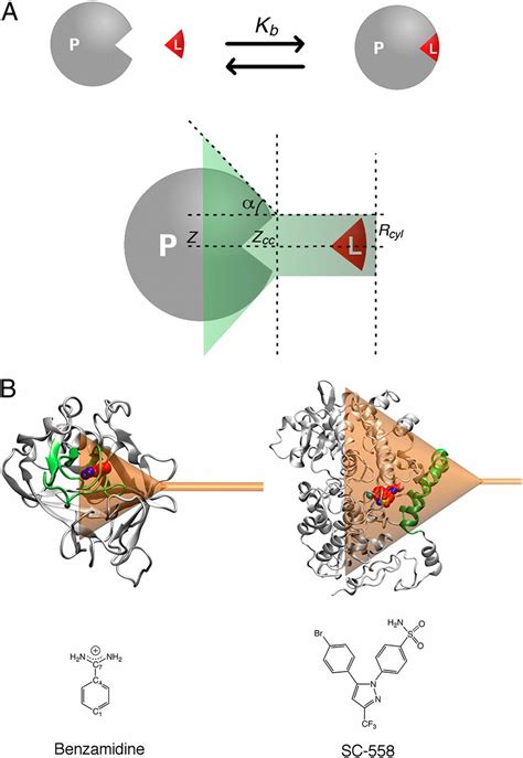 Funnel Metadynamics As Accurate Binding Free Energy Method Pnas