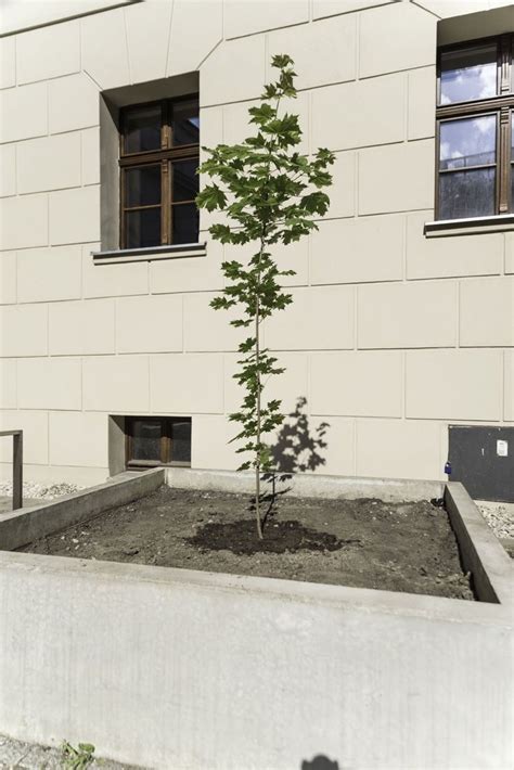 5 Young Artists To Watch The 39th Edition Of The Maria Dokowicz