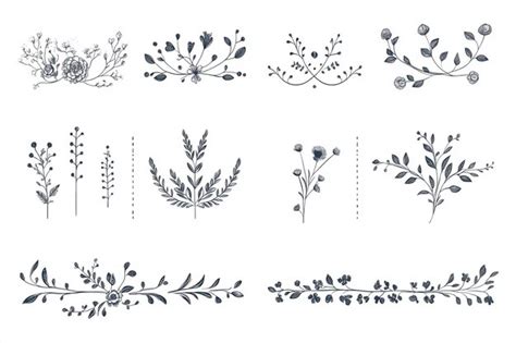 Decorative Borders Vector Illustration Set Premium Ai Generated Vector