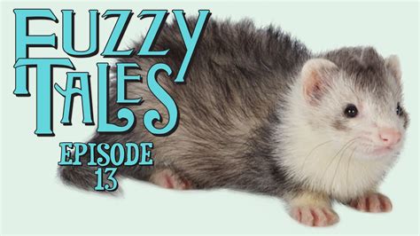 Fuzzy Tales | Ep 13 | Ali Bunny and the 40 Seeds | Birdy Dumpty | Little Bow Parrot - YouTube