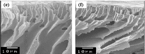 Cross Sectional Sem Morphology Of Pvc Pc1 A Pvc Pc1 Plu3 B Download Scientific Diagram