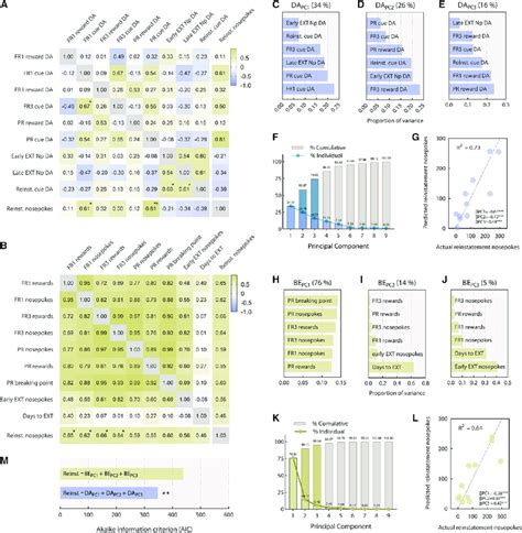 Low Dimensional Dopamine Signatures Robustly Predict Reinstatement Of